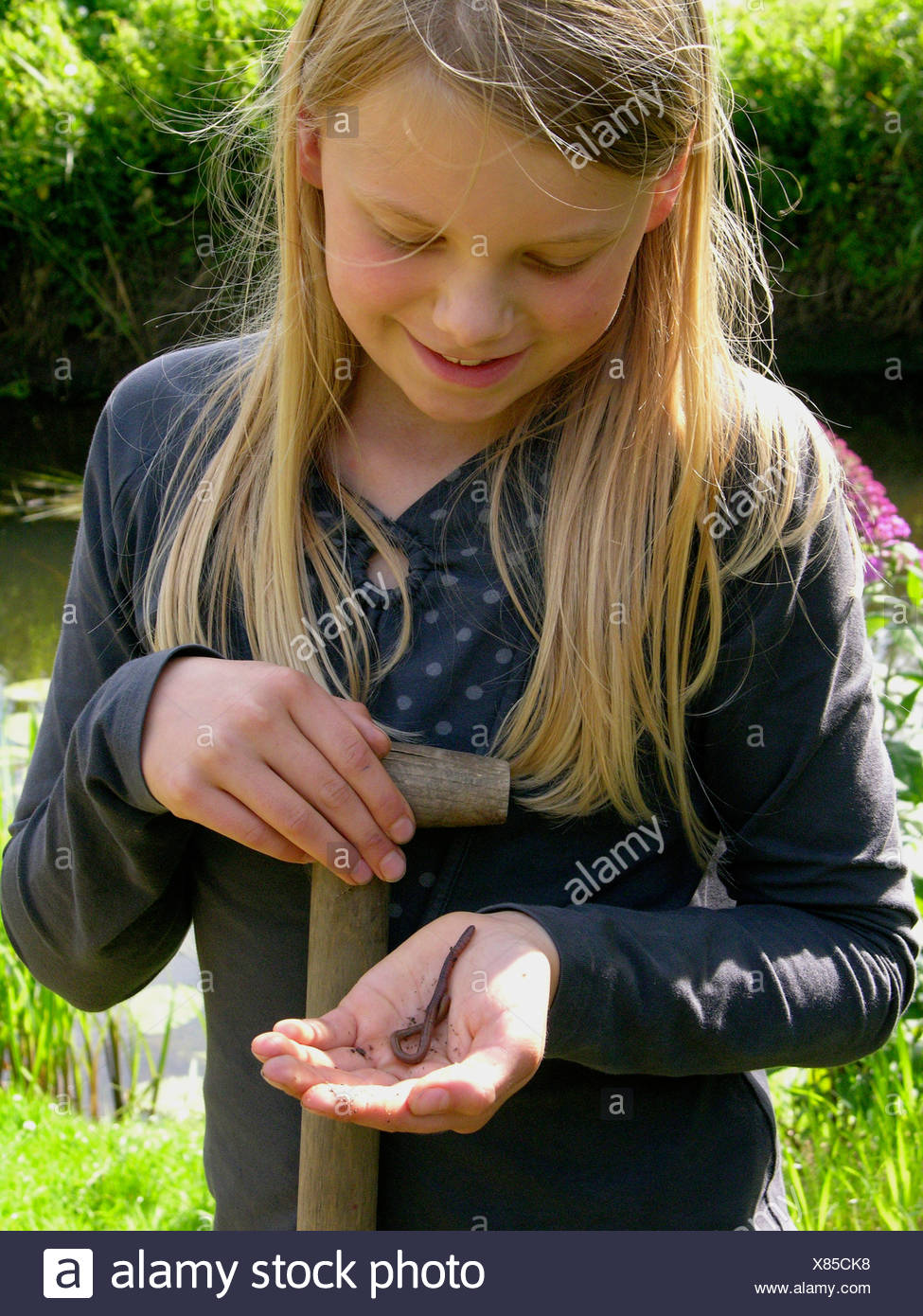 Lob Worms High Resolution Stock Photography and Images - Alamy