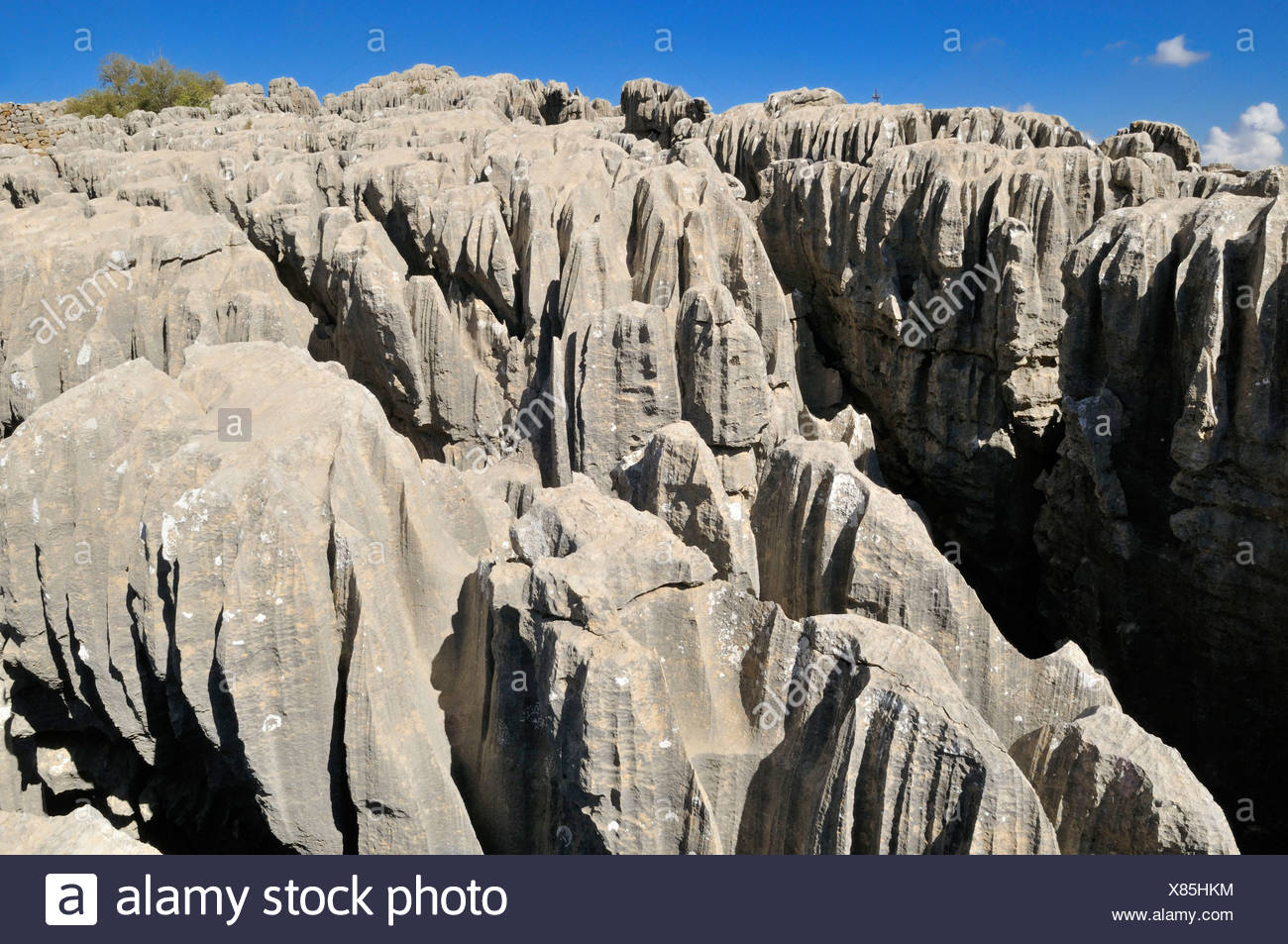 Faqra Stock Photos & Faqra Stock Images - Alamy