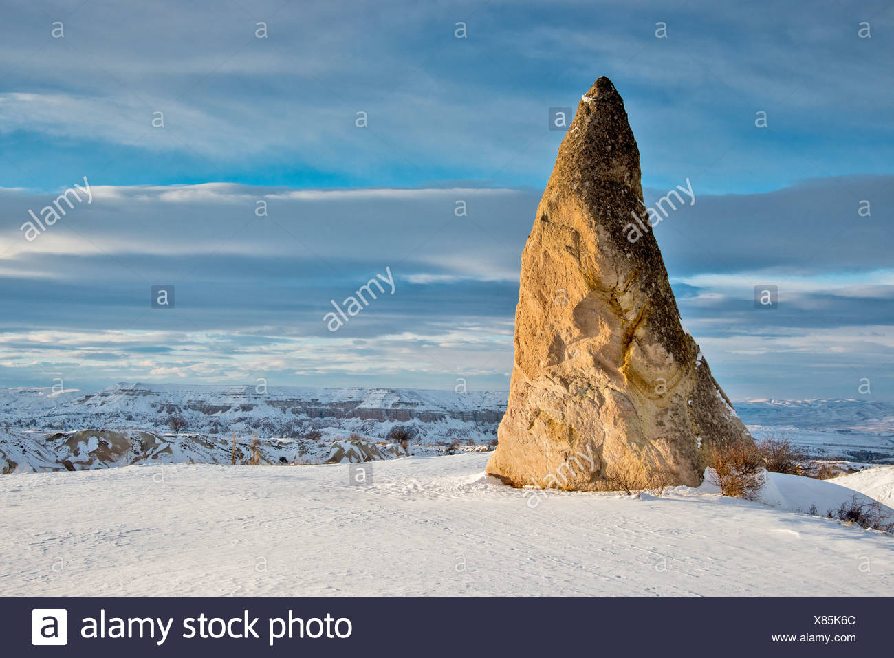 Pointy High Resolution Stock Photography and Images - Alamy
