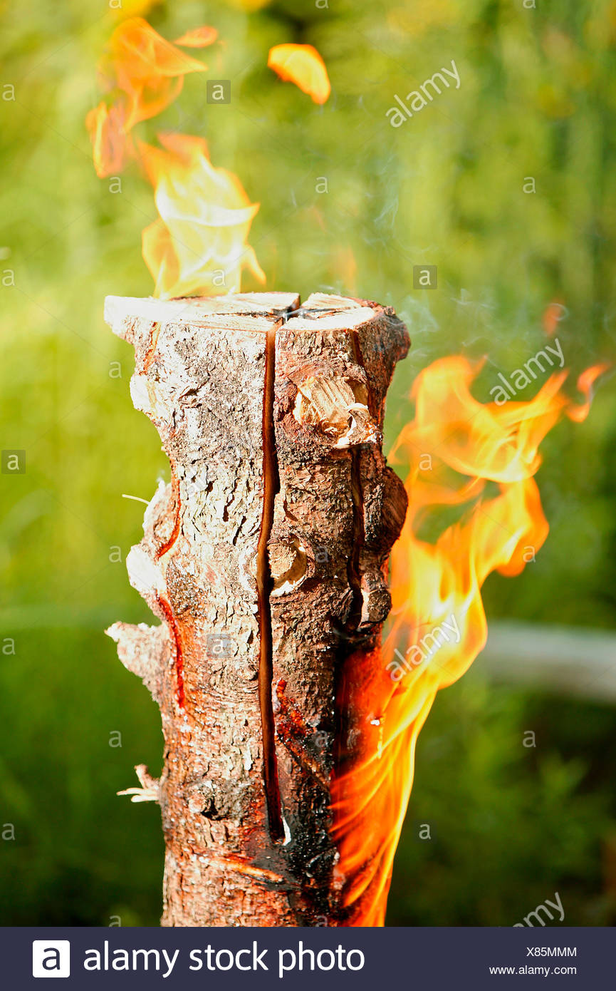 Cauterization High Resolution Stock Photography and Images - Alamy