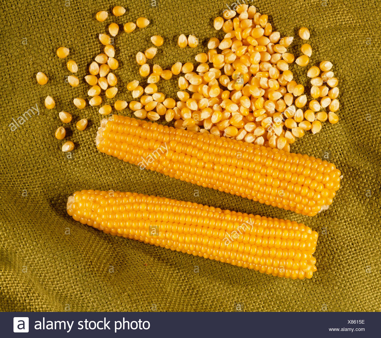 Zea Mays Everta High Resolution Stock Photography and Images - Alamy