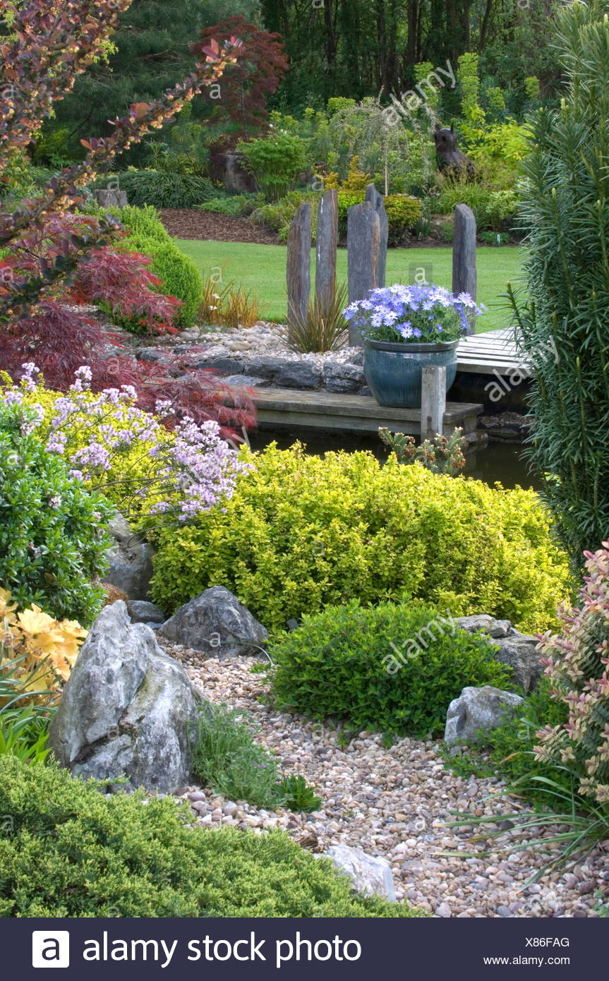 Evergreens For Rock Gardens