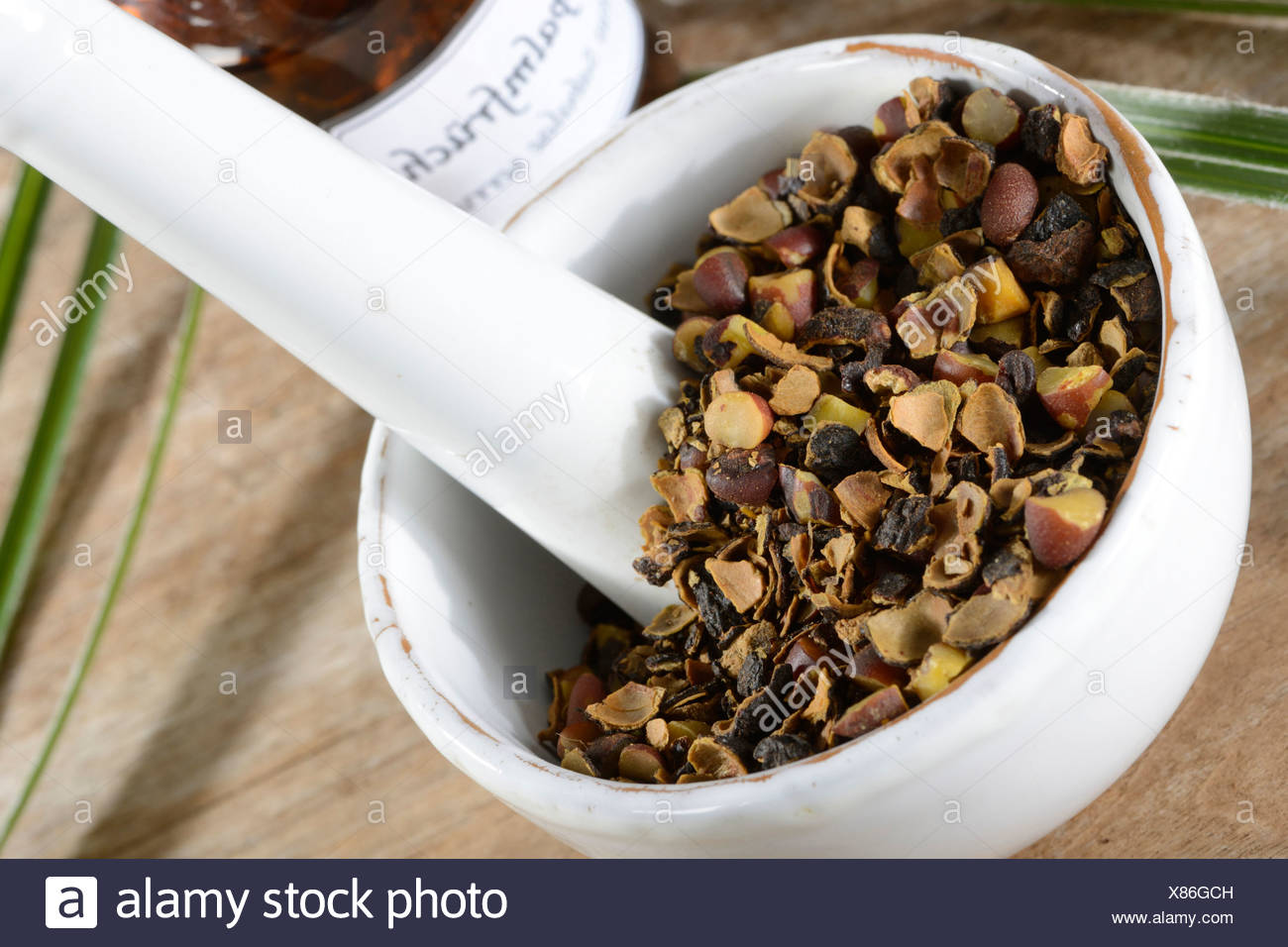Saw Palmetto Fruit High Resolution Stock Photography and Images - Alamy