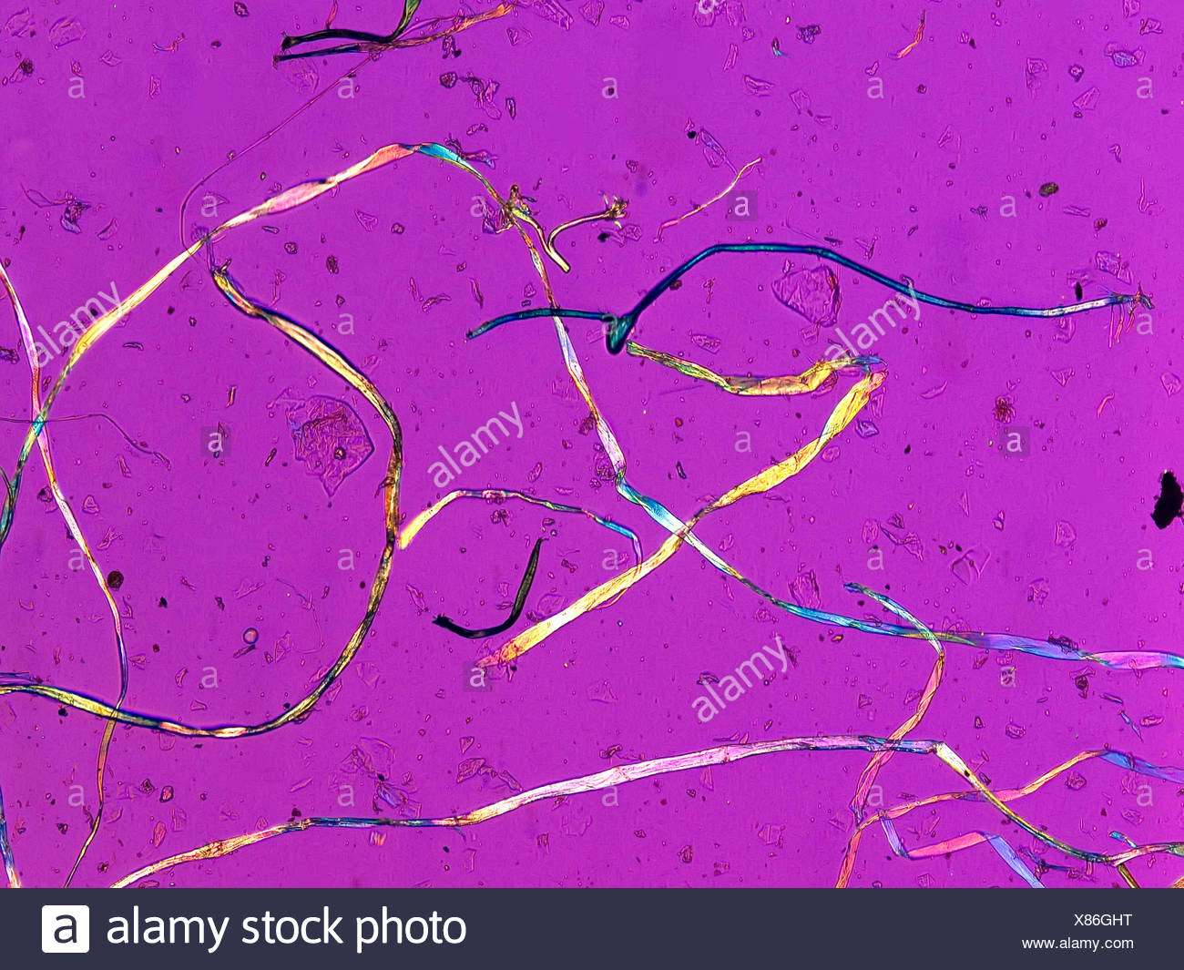 Microscopic Fibres High Resolution Stock Photography and Images - Alamy