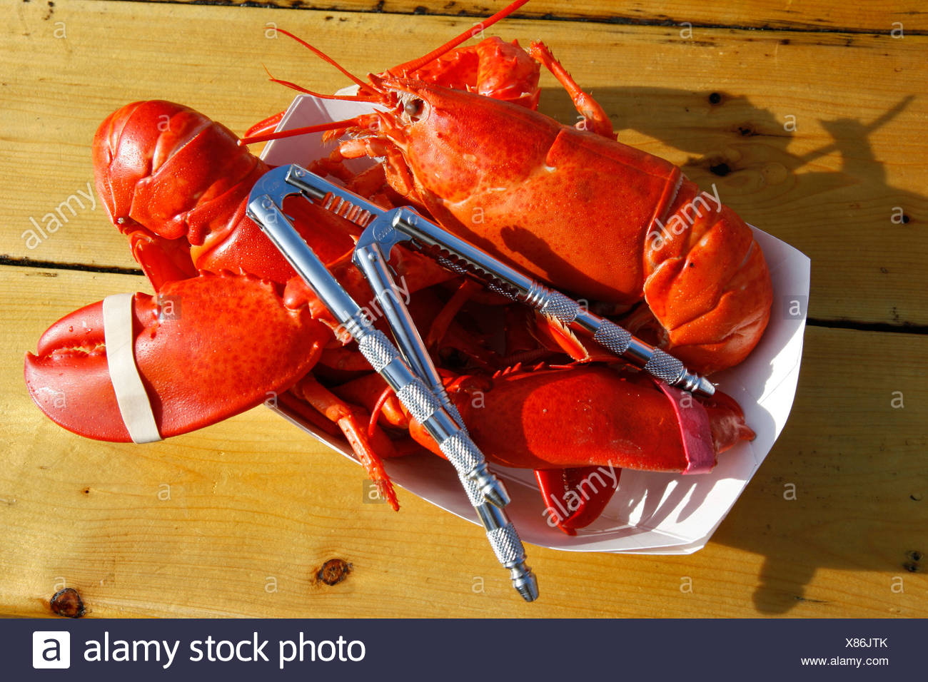 Lobster Cracker Stock Photos & Lobster Cracker Stock Images - Alamy