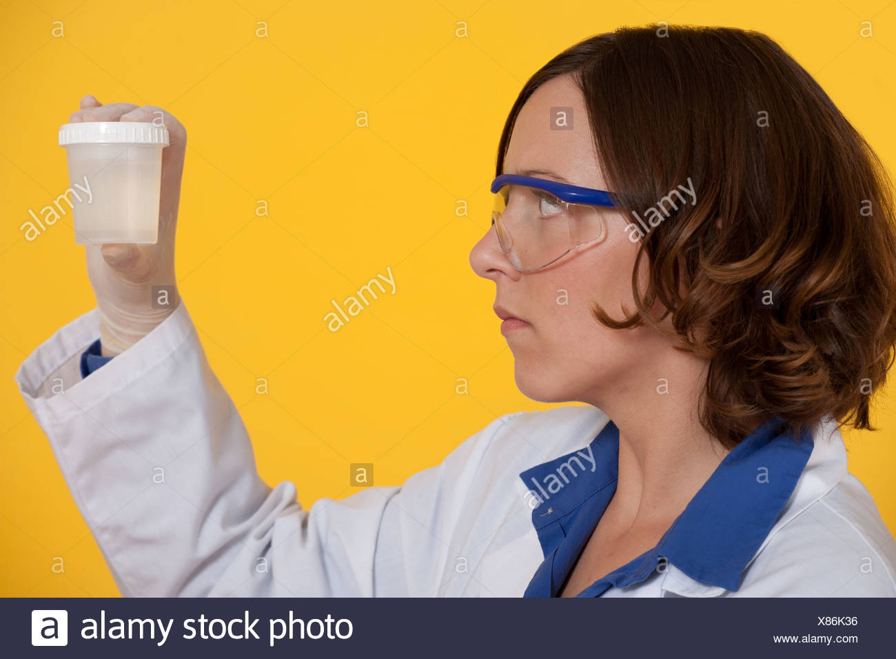 Research Specimen High Resolution Stock Photography and Images - Alamy