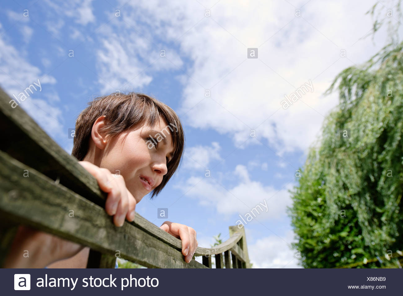 Peering Over Fence Stock Photos & Peering Over Fence Stock Images - Alamy