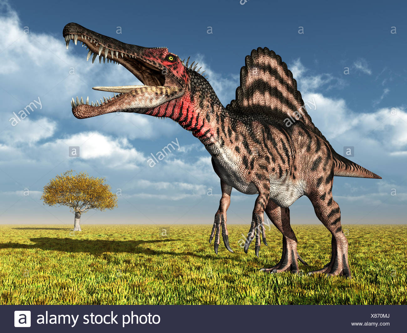 Dinosaur Dinosaurs Dino Spinosaurus High Resolution Stock Photography ...