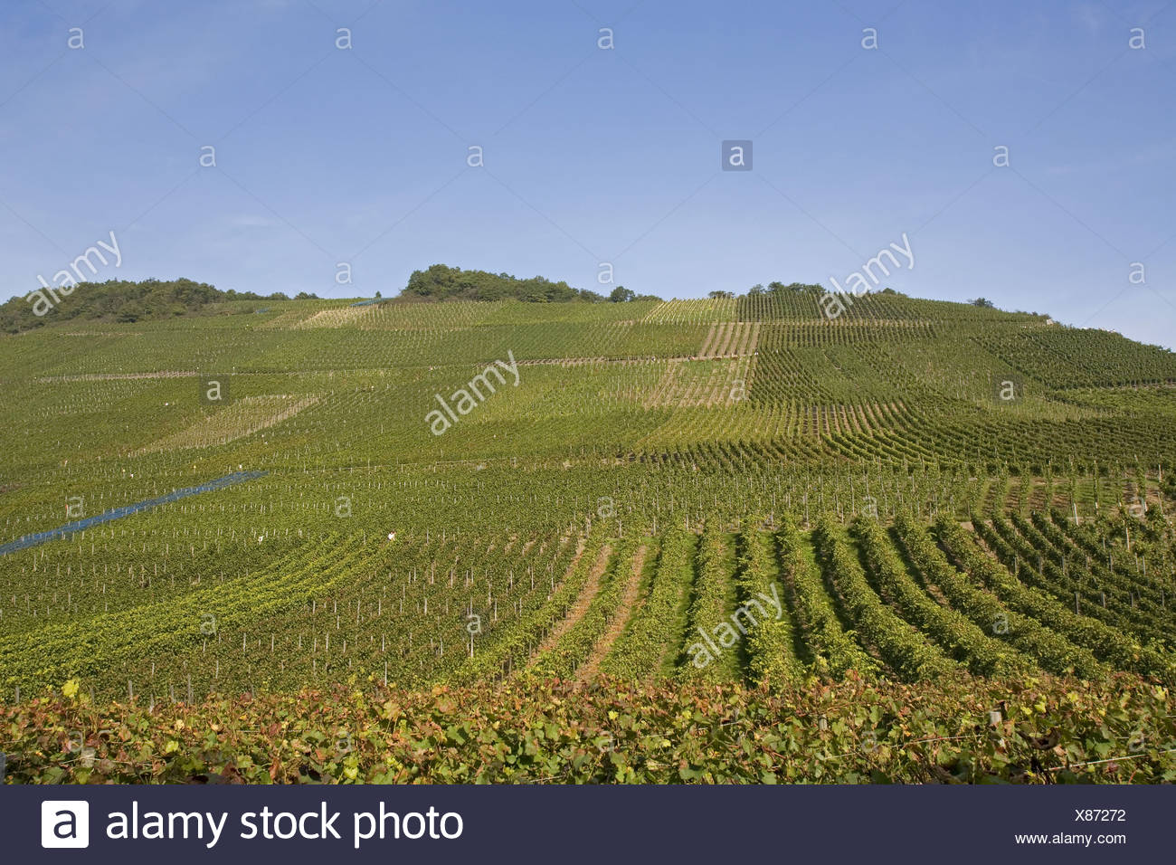 Marienthal High Resolution Stock Photography and Images - Alamy