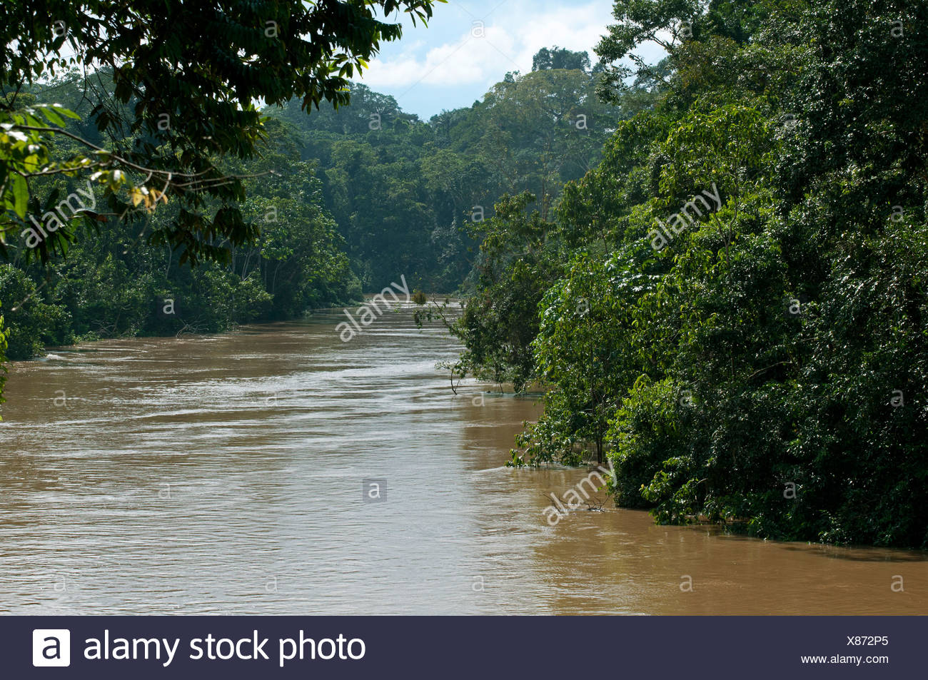 Amazon Basin Stock Photos & Amazon Basin Stock Images - Alamy