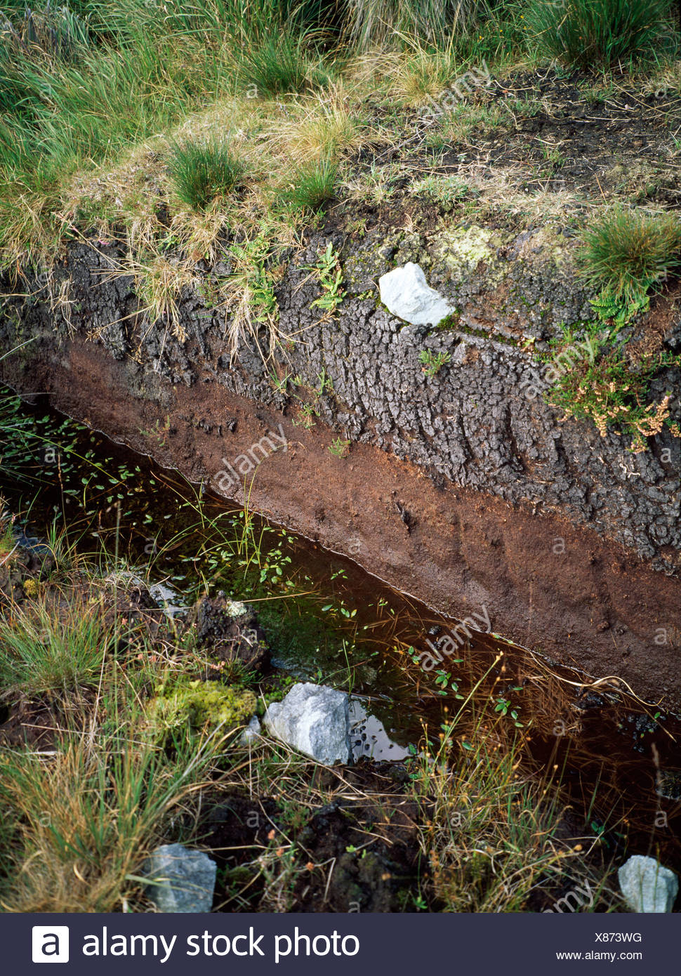 Turf Cutting High Resolution Stock Photography and Images - Alamy
