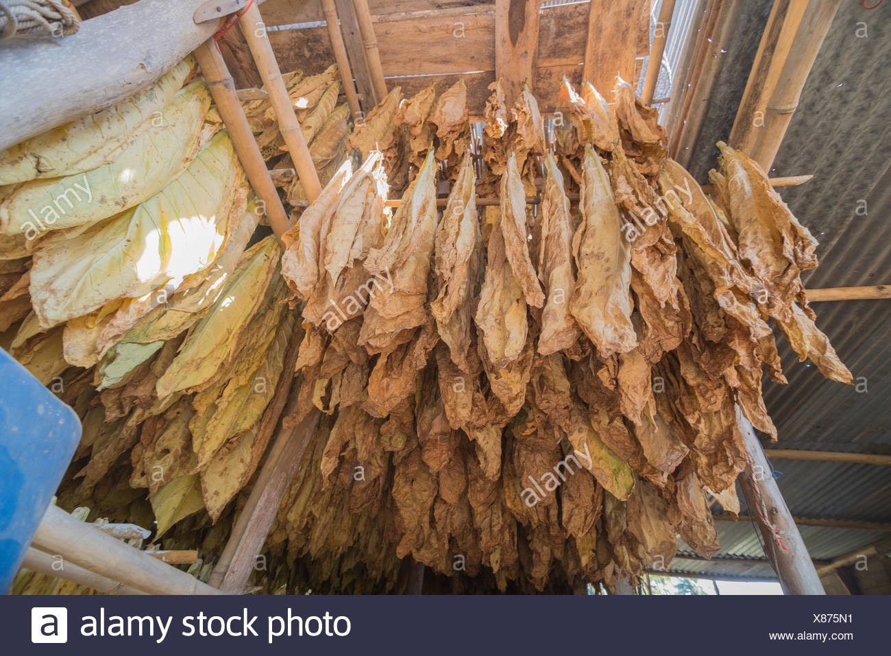Tobacco Curing High Resolution Stock Photography and Images - Alamy