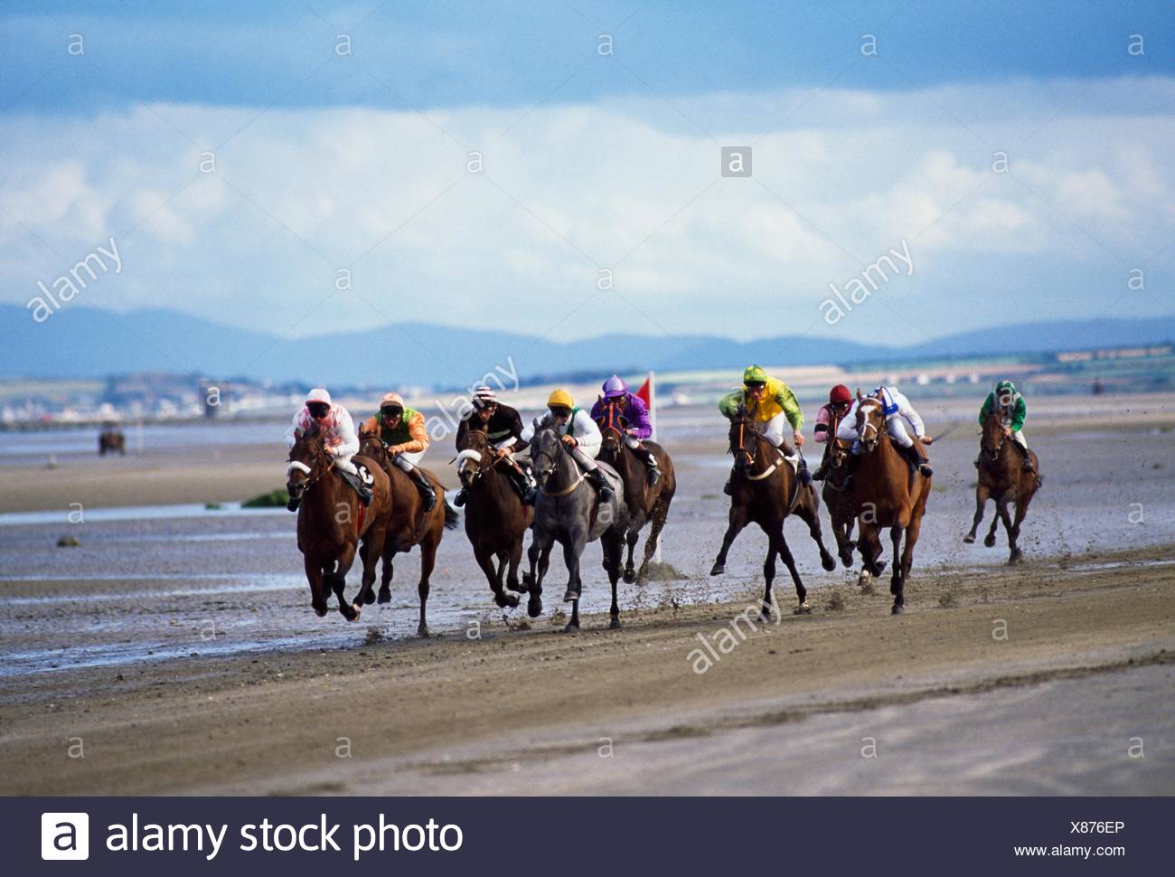 Horseracing Races Horses Full Length High Resolution Stock Photography ...