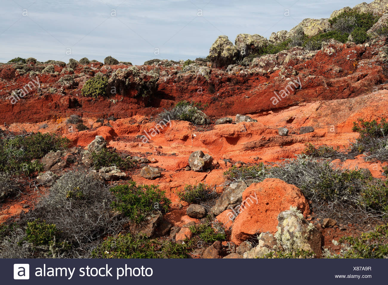 Red Volcanic Soils High Resolution Stock Photography and Images - Alamy