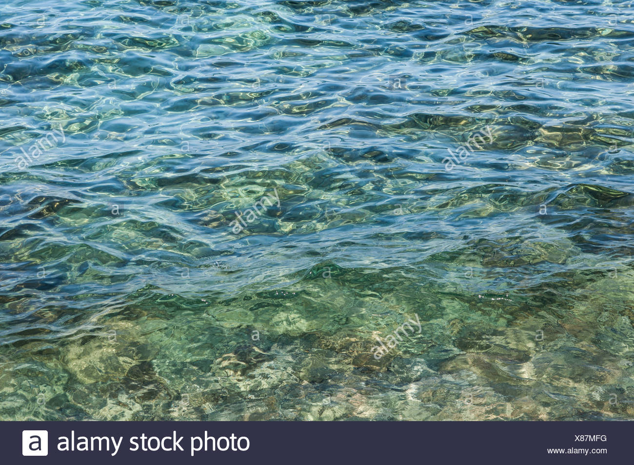 Seabed Texture High Resolution Stock Photography and Images - Alamy