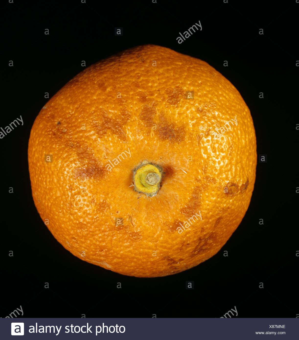 Fruit Blemish Stock Photos & Fruit Blemish Stock Images - Alamy