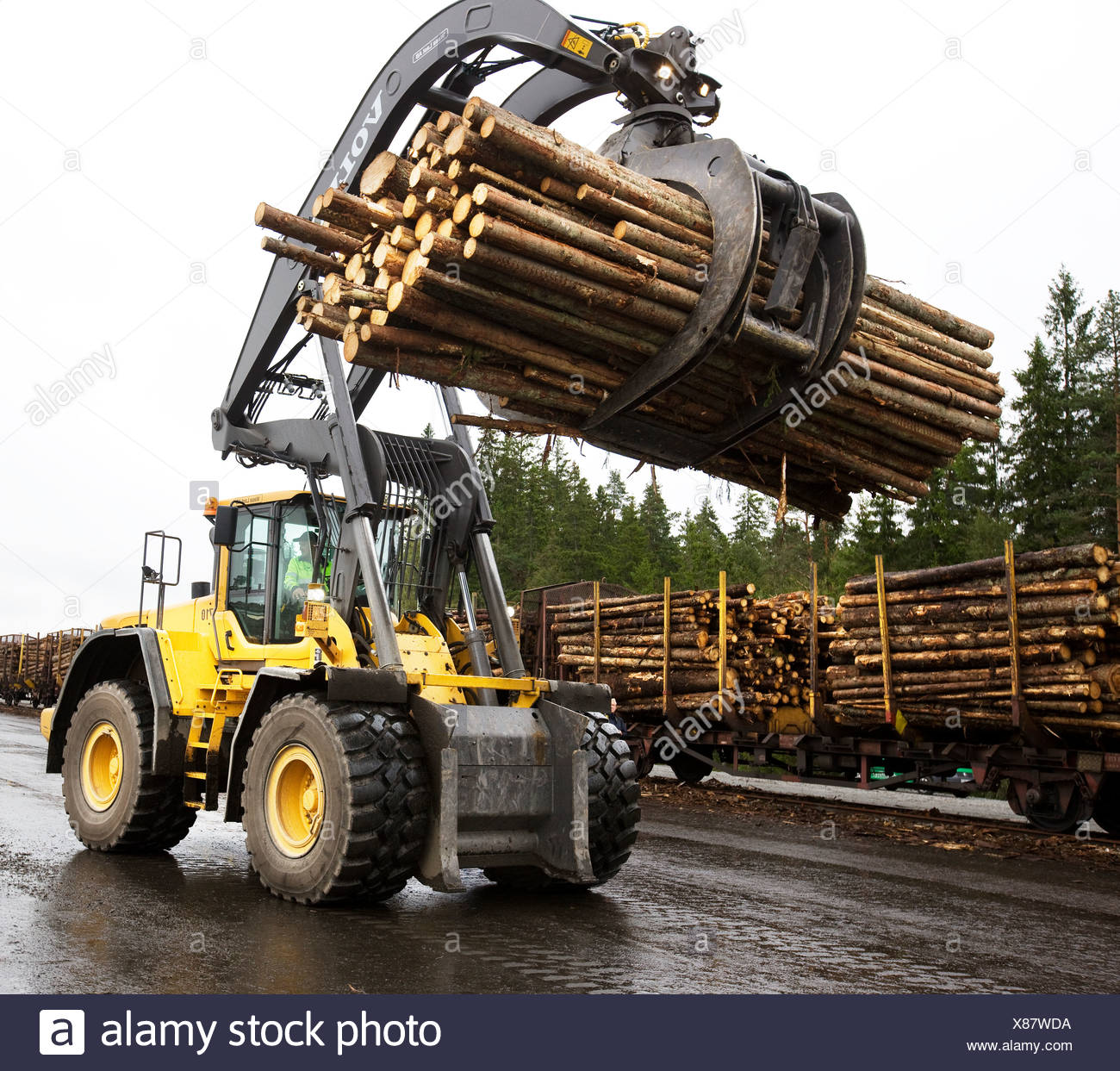 Timber Logs Square Stock Photos & Timber Logs Square Stock Images - Alamy