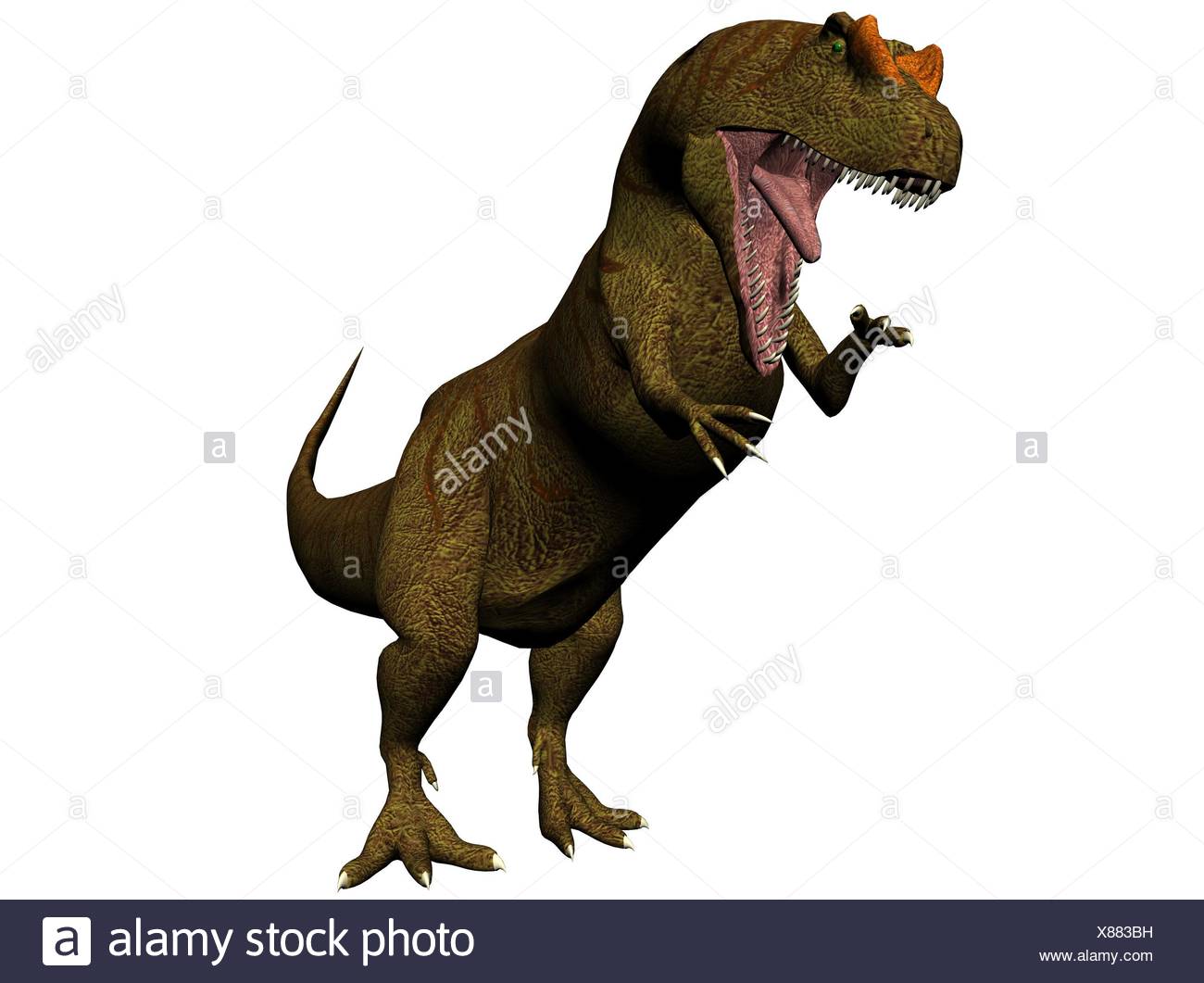 Allosaurus High Resolution Stock Photography and Images - Alamy