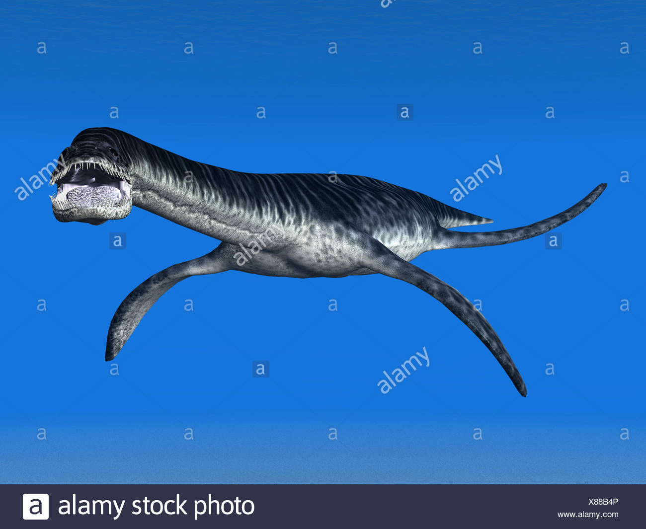 Plesiosaurus High Resolution Stock Photography and Images - Alamy