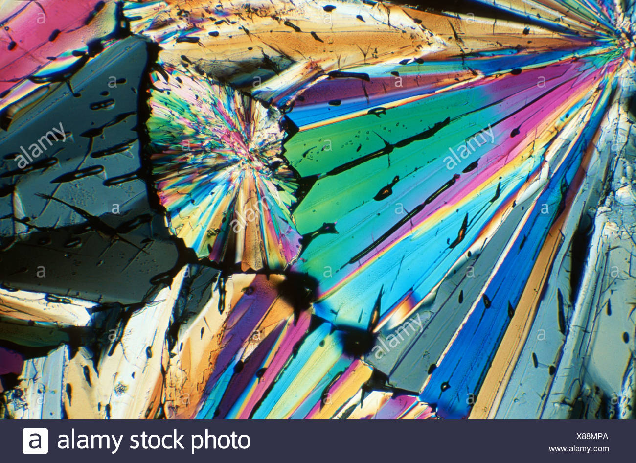 Sugar Microscope High Resolution Stock Photography and Images - Alamy