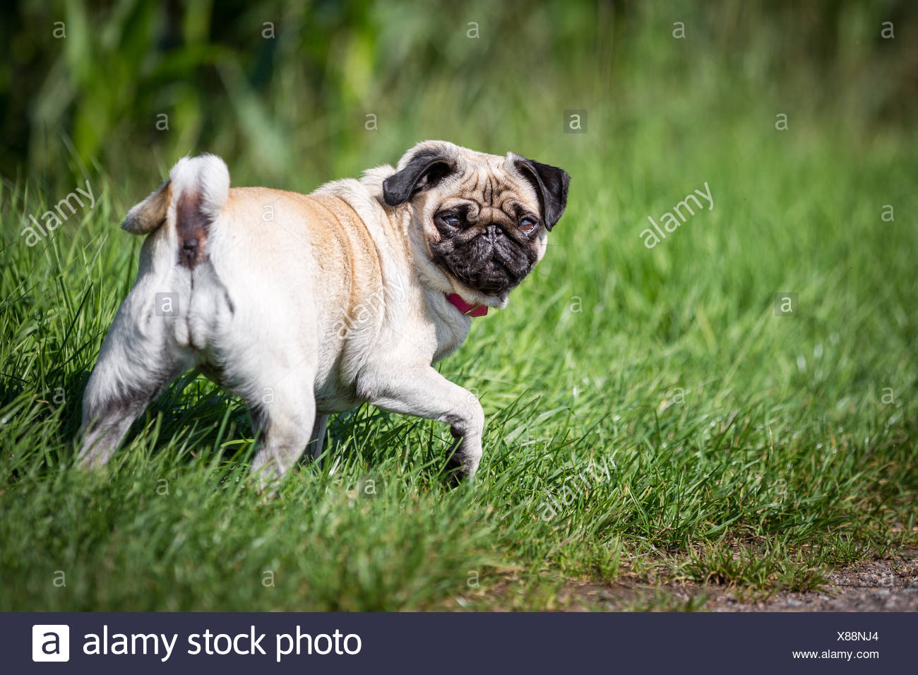 Backwards Stock Photos & Backwards Stock Images - Alamy