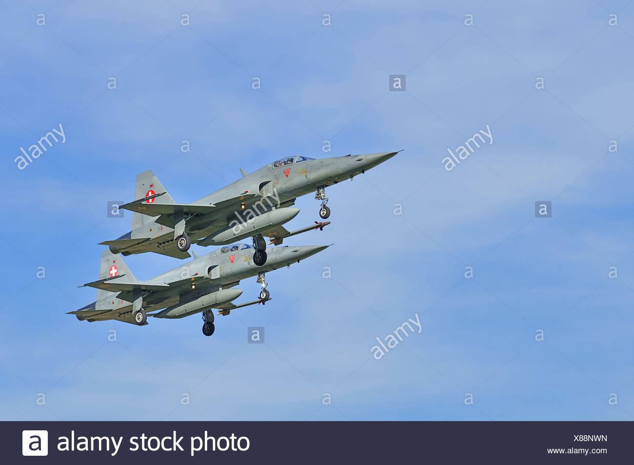 Northrop F5e Tiger Ii High Resolution Stock Photography and Images - Alamy