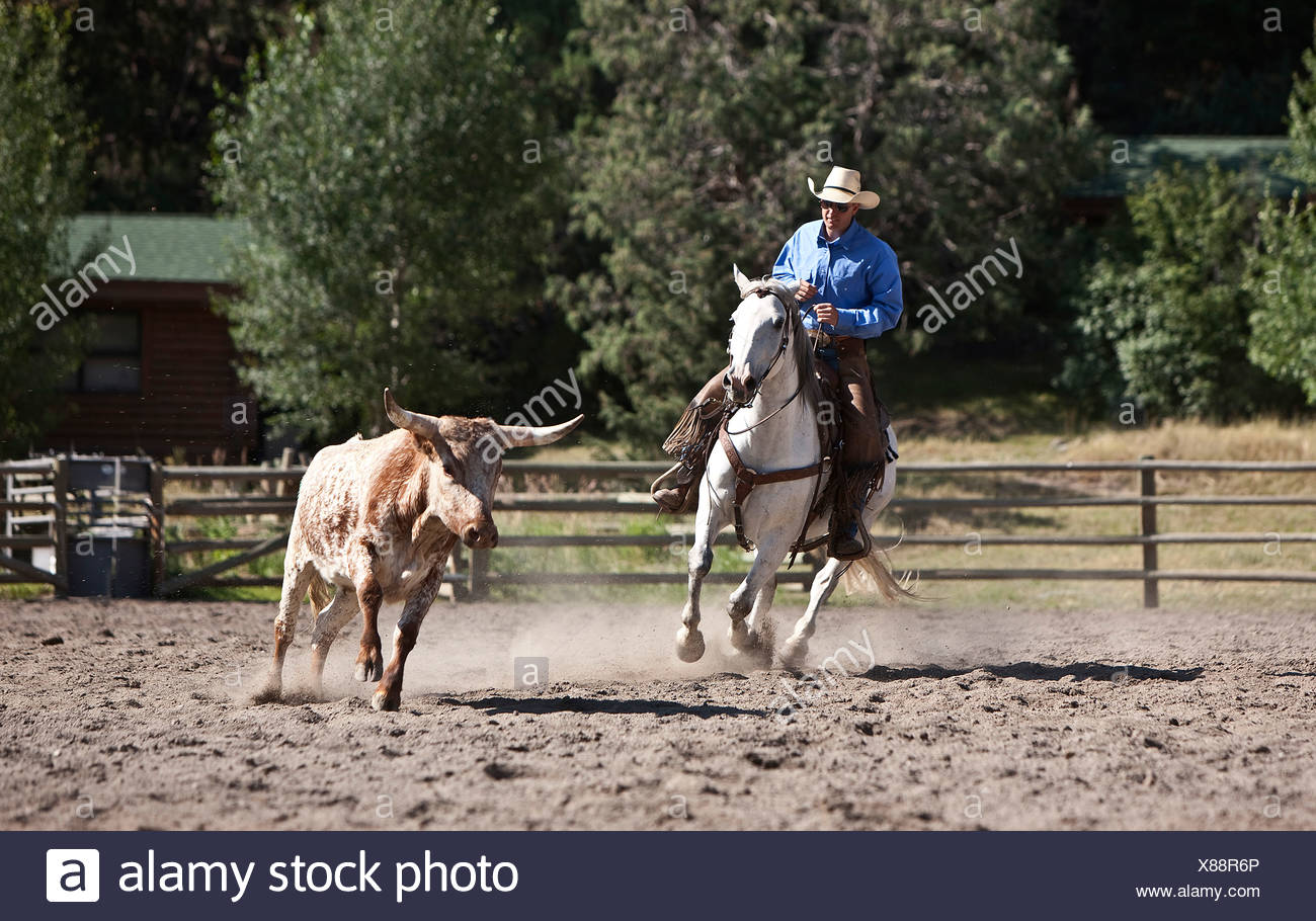 Ranching Stock Photos & Ranching Stock Images - Alamy