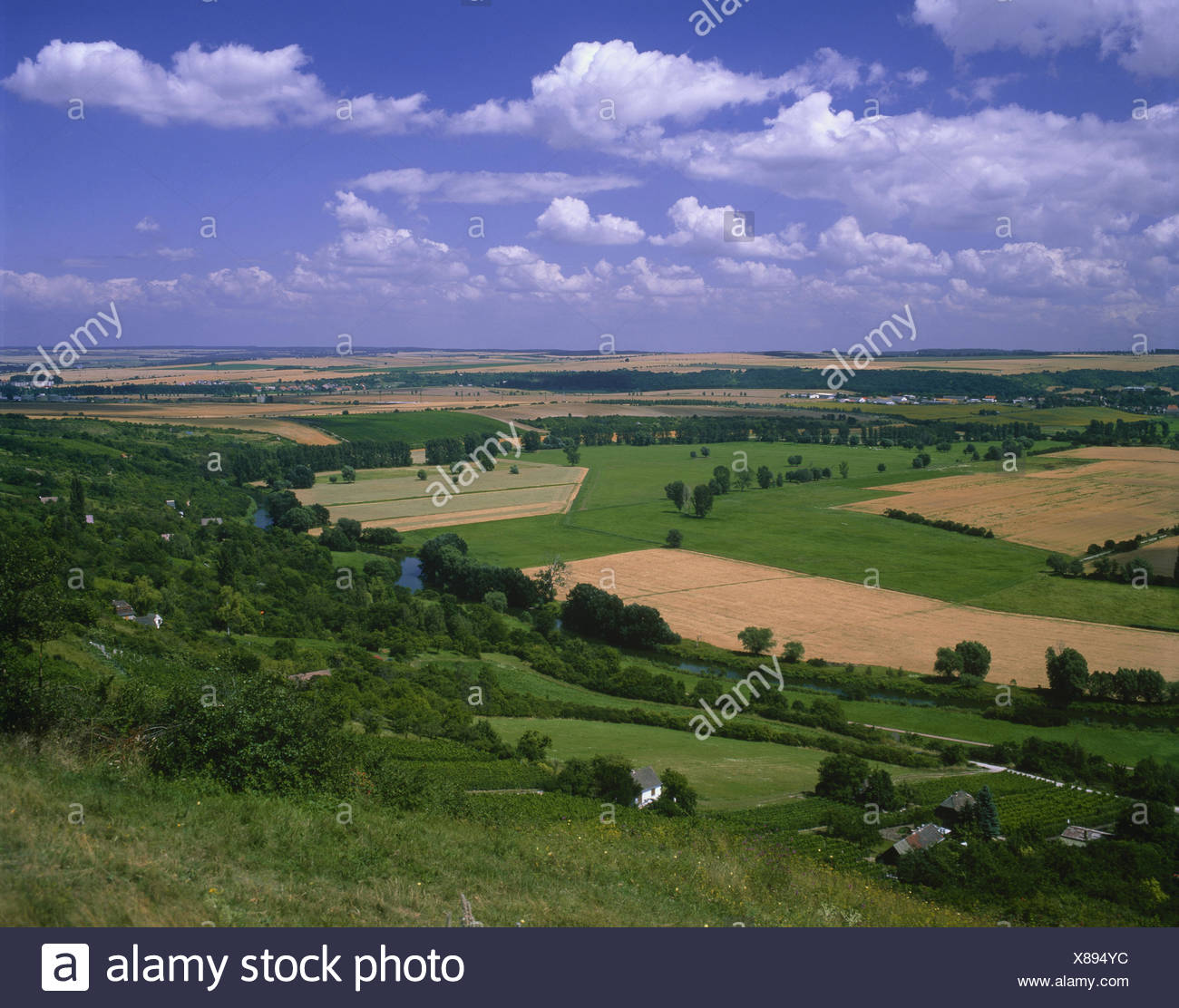 Frey Stock Photos & Frey Stock Images - Alamy