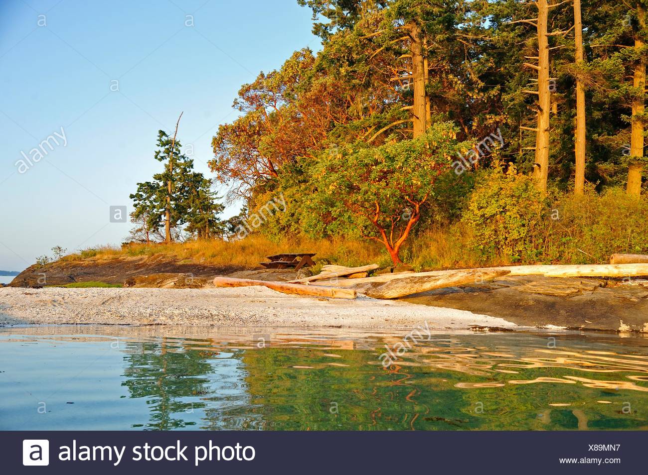 Shell Midden High Resolution Stock Photography and Images - Alamy
