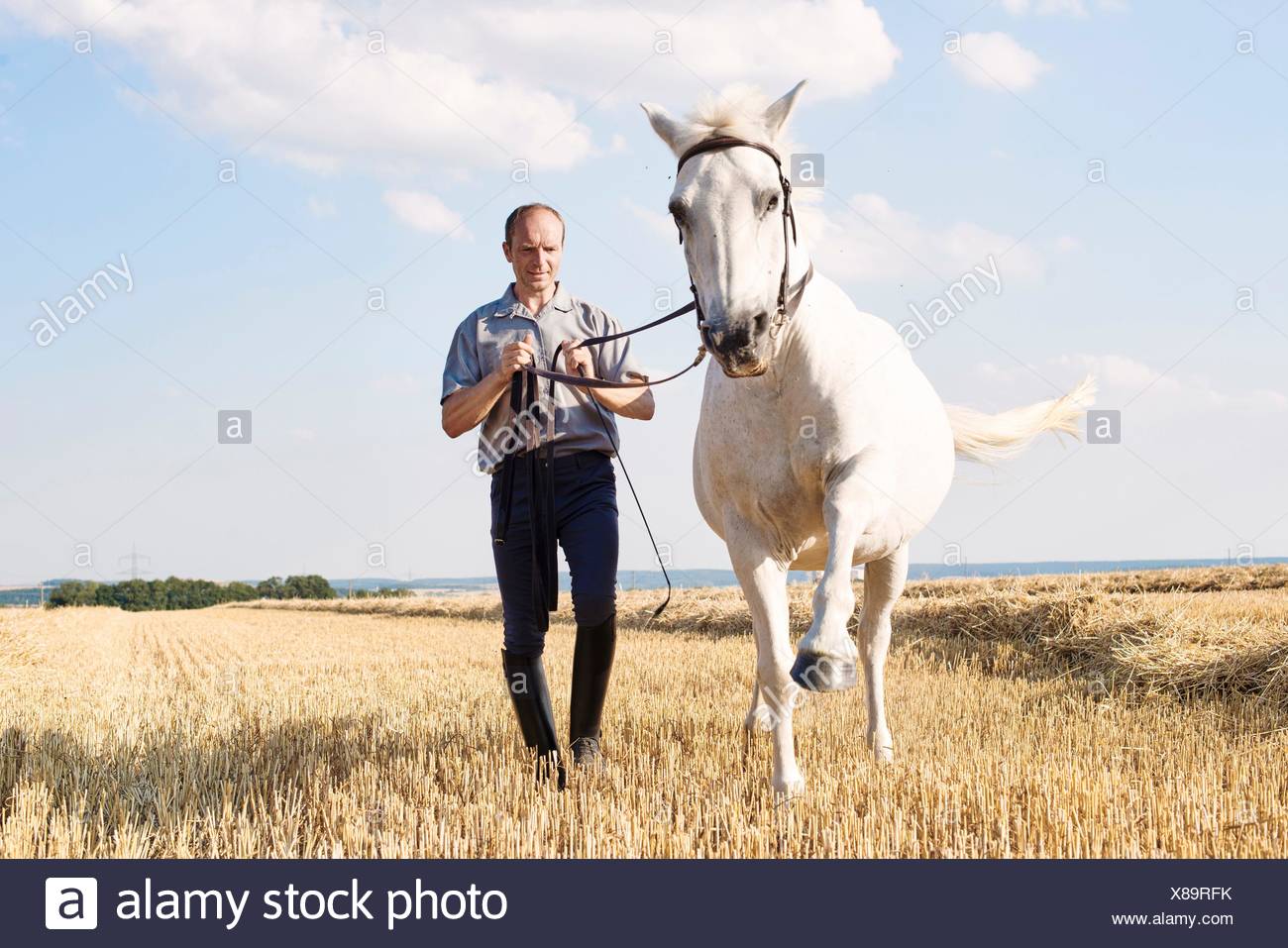 Trotting Stock Photos & Trotting Stock Images - Alamy