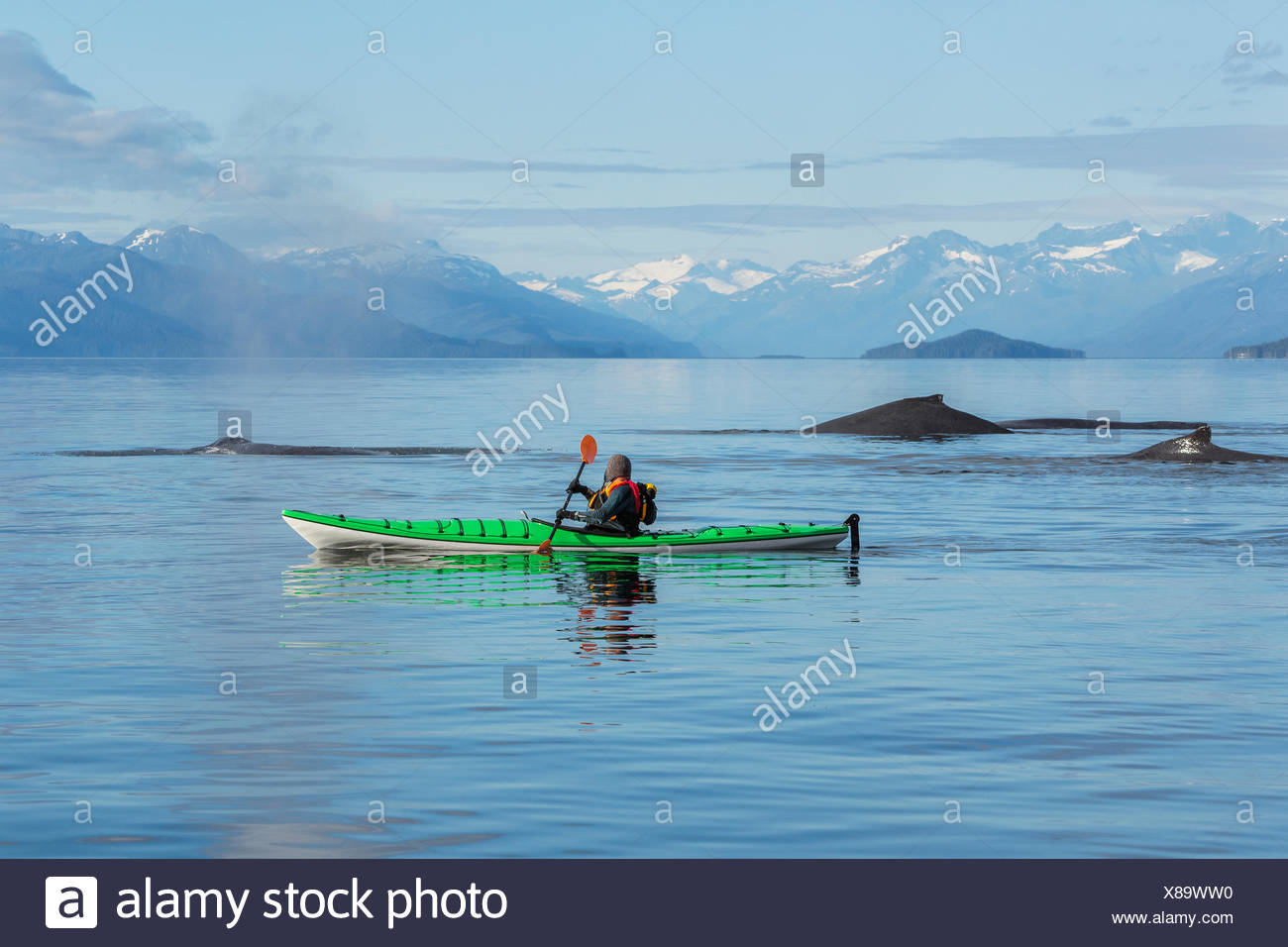 John Tracy High Resolution Stock Photography and Images - Alamy