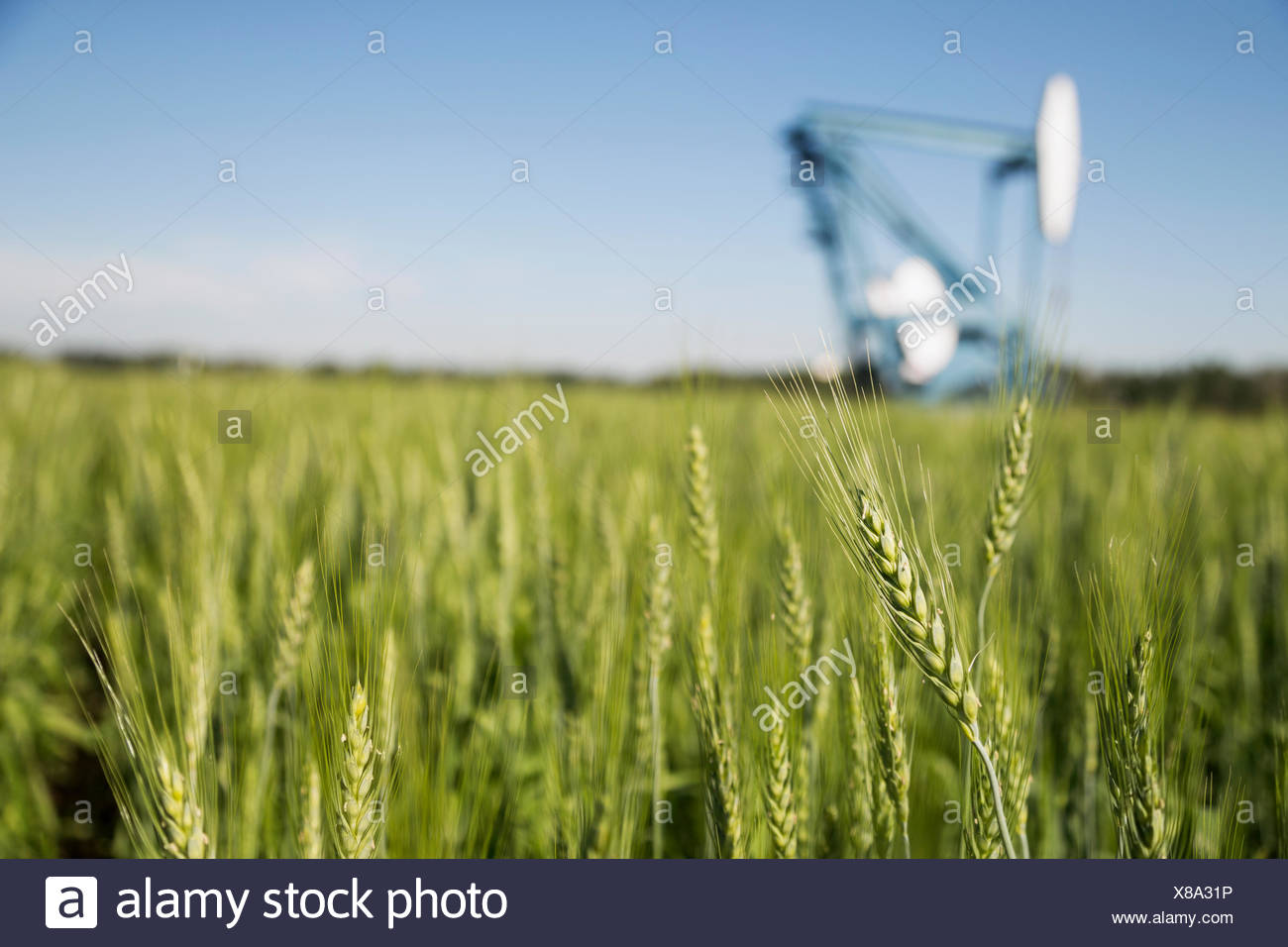 Natural Gas Field Stock Photos & Natural Gas Field Stock Images - Alamy