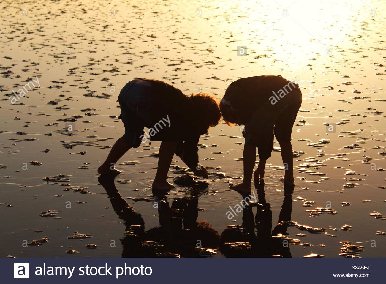 Playing In Mud High Resolution Stock Photography and Images - Alamy