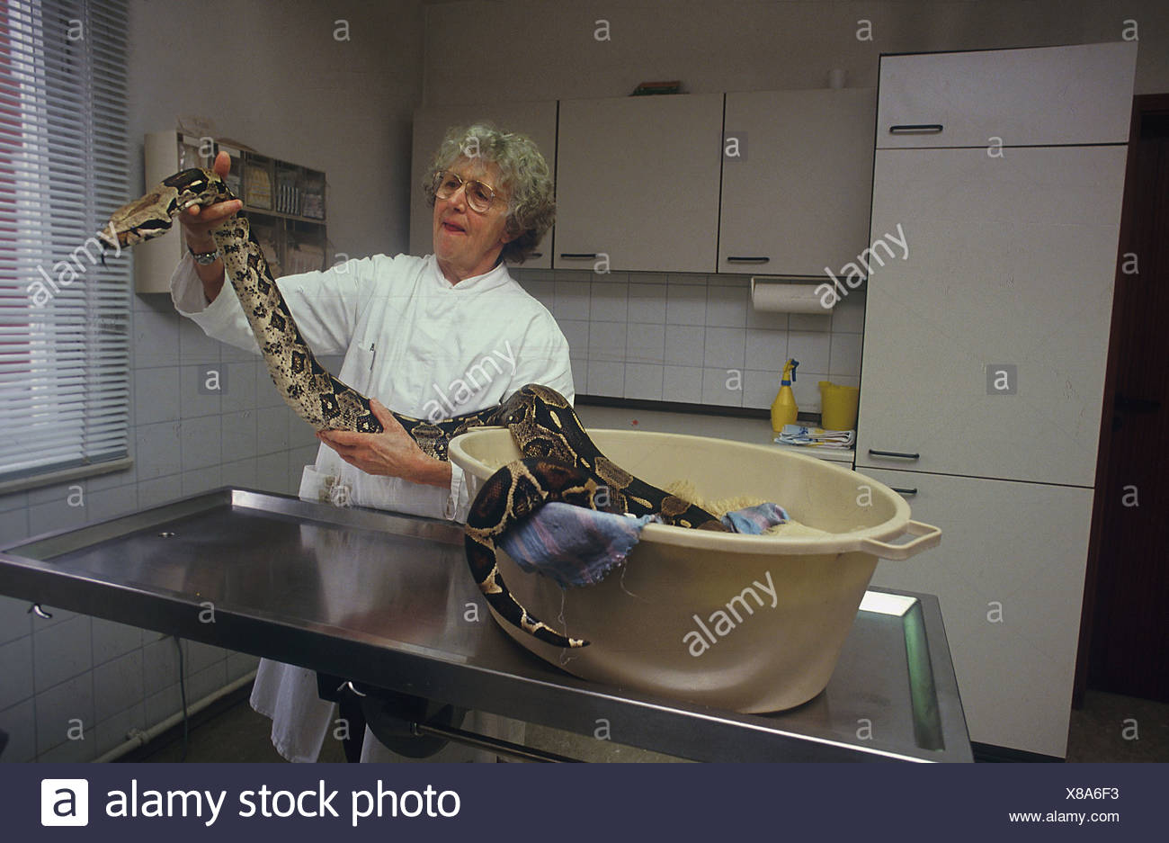 Snake Doctor High Resolution Stock Photography and Images - Alamy