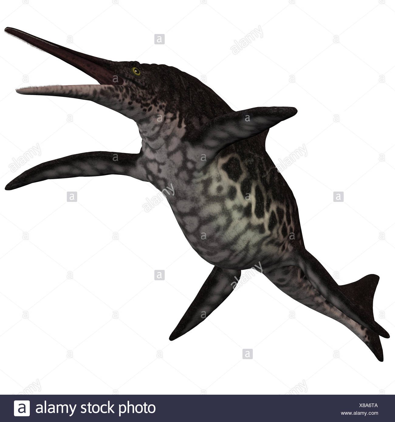 Shonisaurus Stock Photos & Shonisaurus Stock Images - Alamy