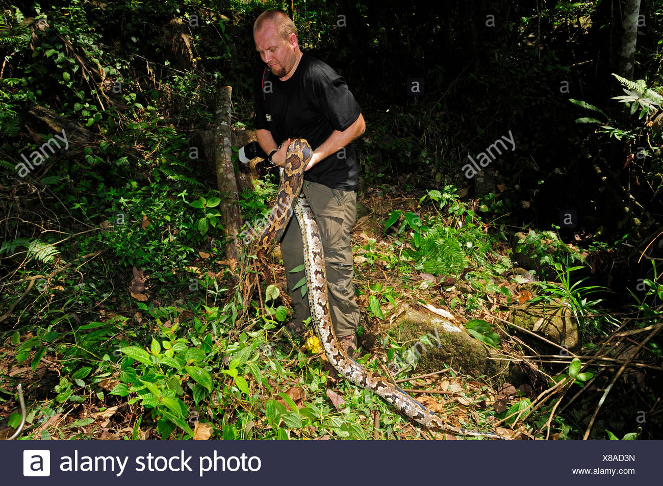 Indian Photographers High Resolution Stock Photography and Images - Alamy