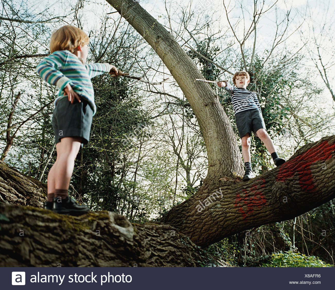 At Sword's Point Stock Photos & At Sword's Point Stock Images - Alamy