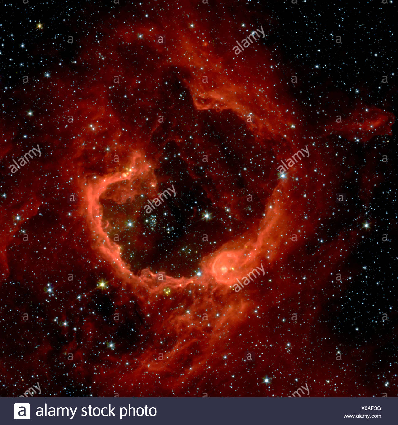 Centaurus High Resolution Stock Photography and Images - Alamy