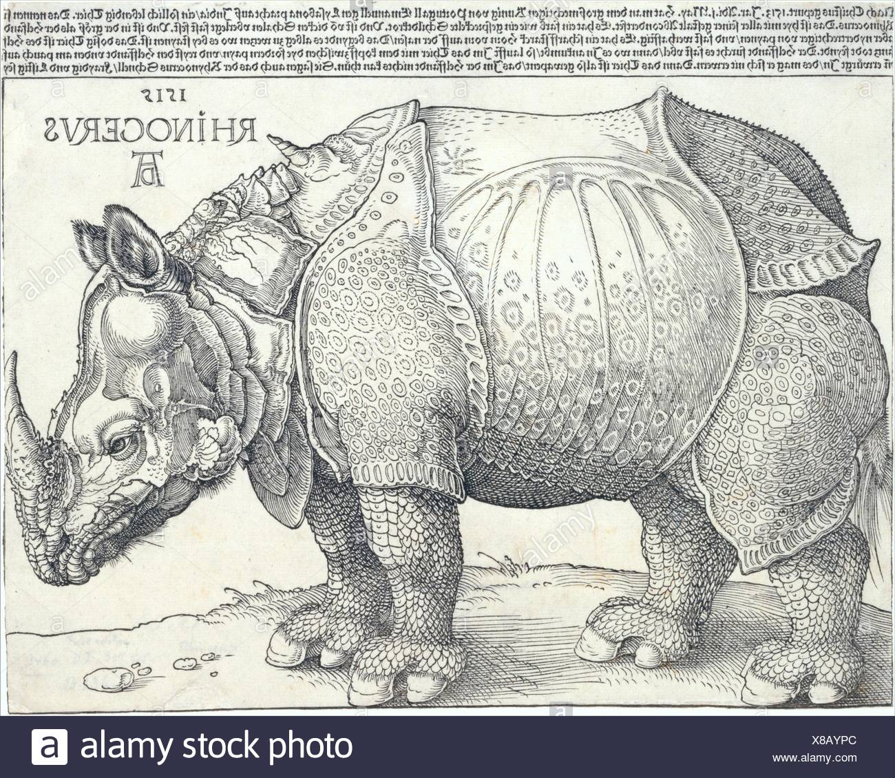 The Rhinoceros Date High Resolution Stock Photography and Images - Alamy