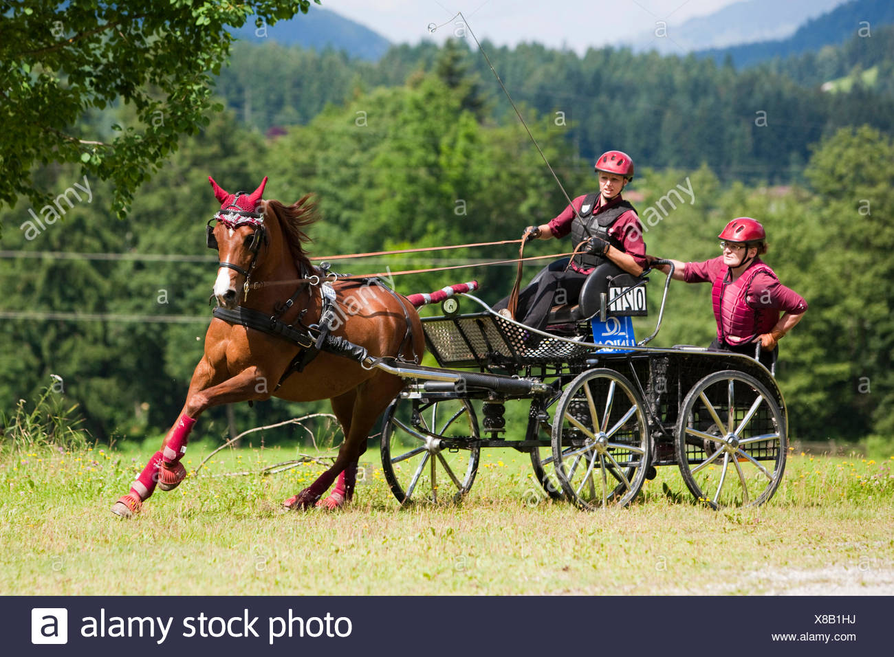 Marathon Carriage High Resolution Stock Photography and Images - Alamy