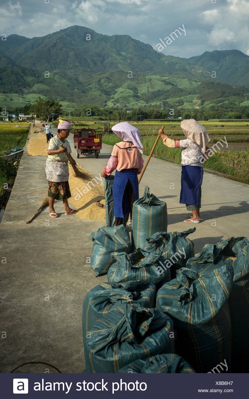 Sacks Of Rice Stock Photos & Sacks Of Rice Stock Images - Alamy