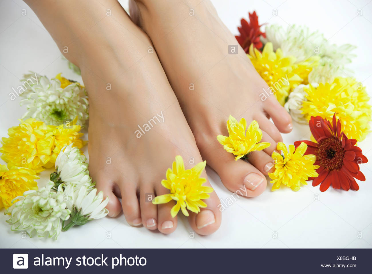 Feet Flower Toes Woman Stock Photos & Feet Flower Toes Woman Stock ...