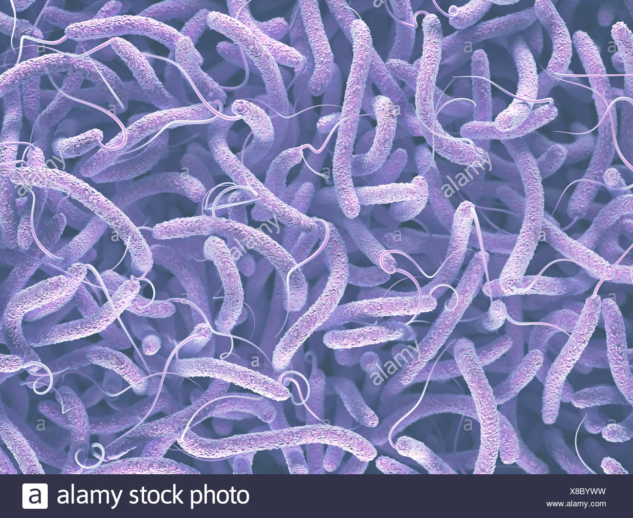 Flagella Bacteria Stock Photos & Flagella Bacteria Stock Images - Alamy
