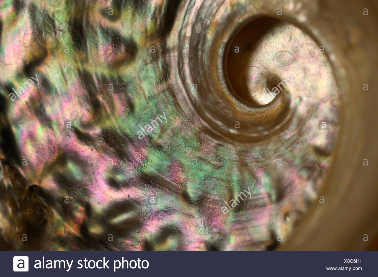 Iridescent High Resolution Stock Photography and Images - Alamy