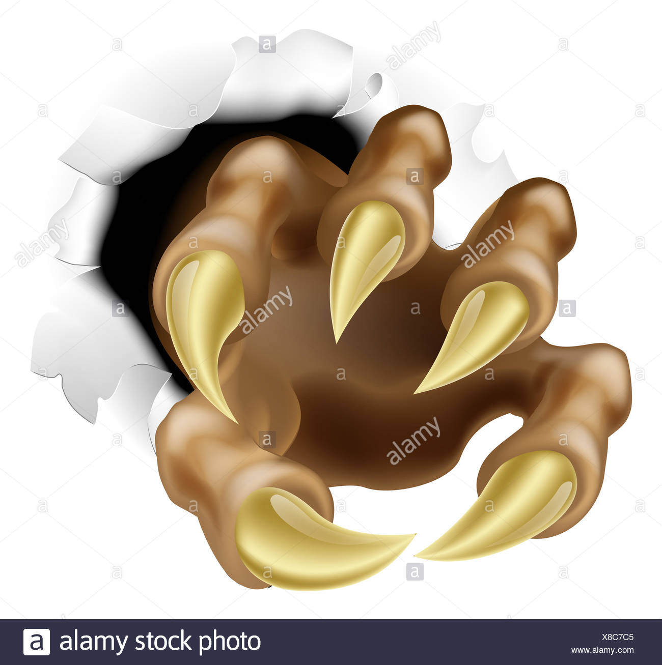 Animal Claw Marks Stock Photos & Animal Claw Marks Stock Images - Alamy