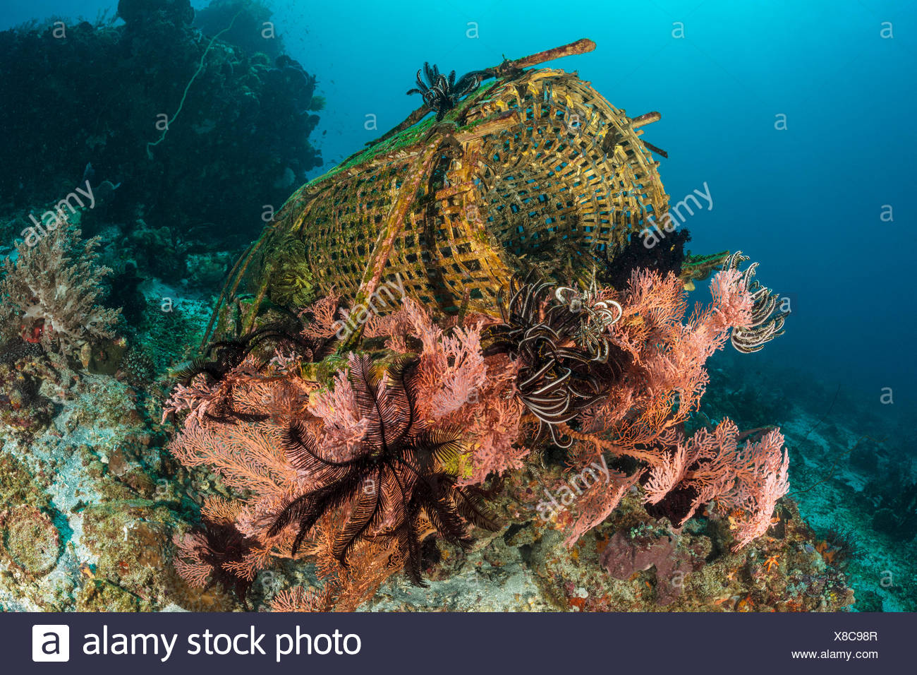 Fish Trap High Resolution Stock Photography and Images - Alamy