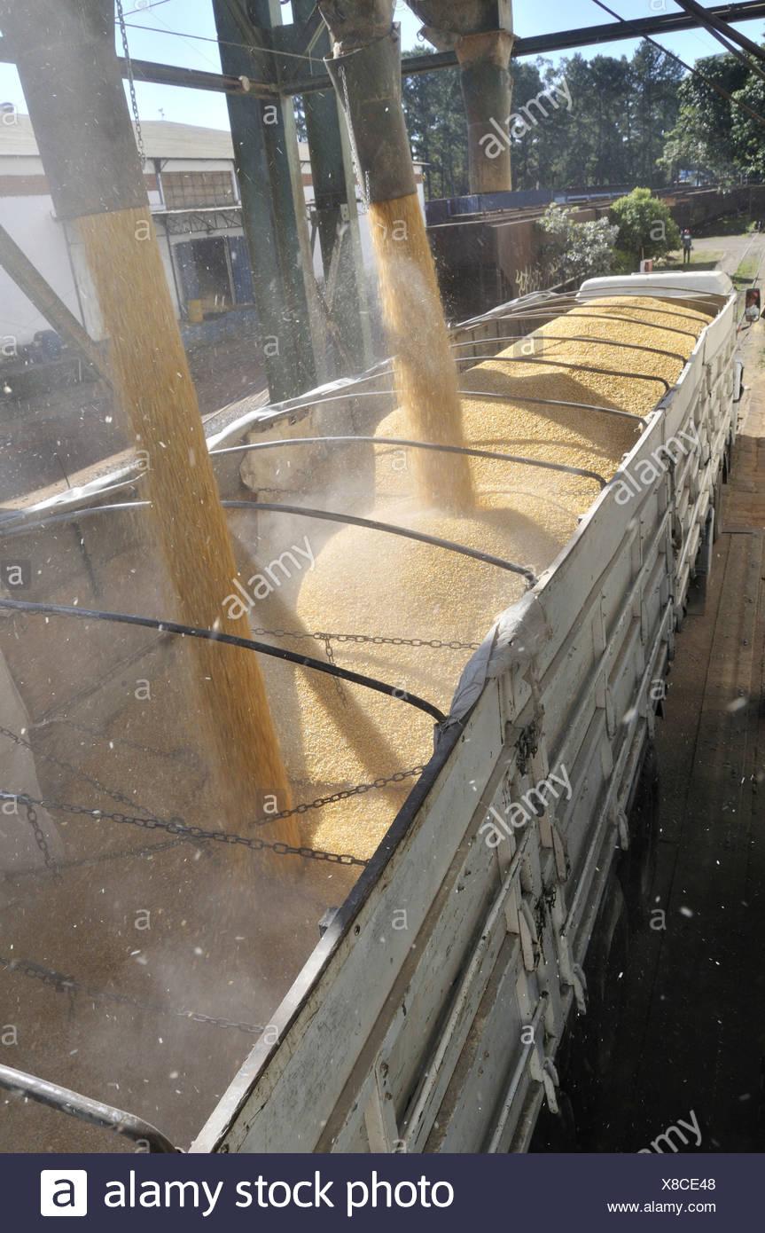 Loading Of Lorries High Resolution Stock Photography and Images - Alamy