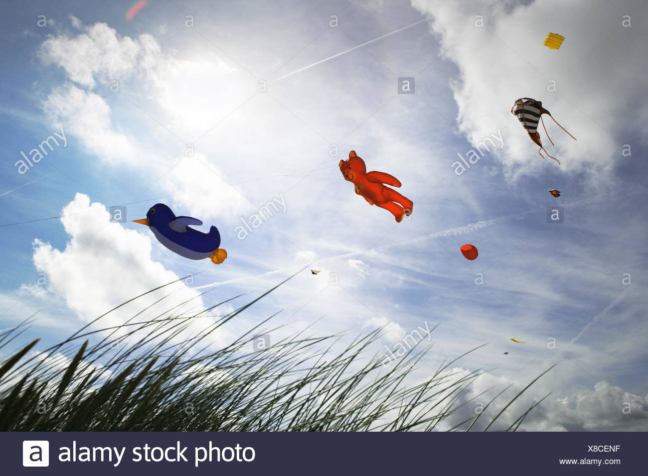 Do Not Fly Kites High Resolution Stock Photography and Images - Alamy