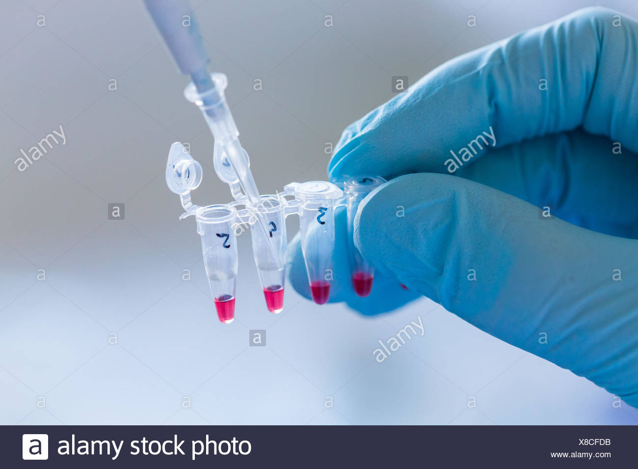 Dna Genetics High Resolution Stock Photography and Images - Alamy