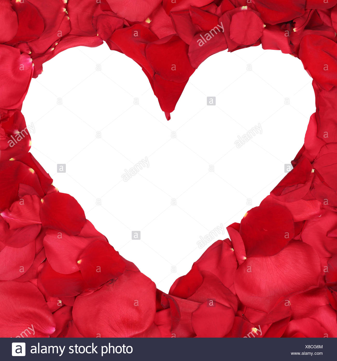 Zur Rose High Resolution Stock Photography and Images - Alamy